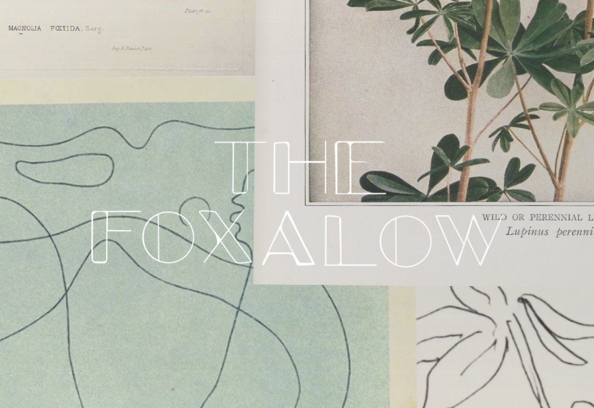 Lucky Chap — The Foxalow